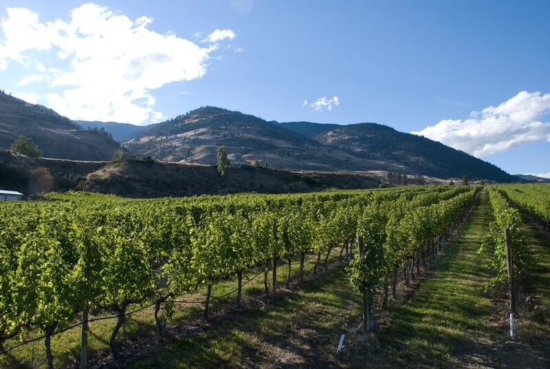 Okanagan Estate | Inniskillin